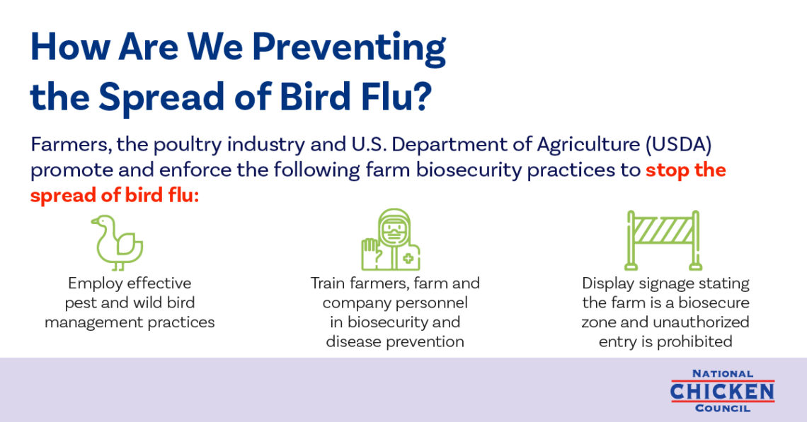 Avian Flu (Avian Influenza) Information