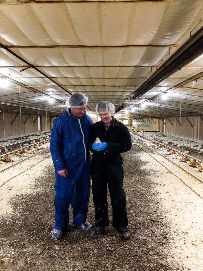 A Visit to a Chicken Farm: Learning about Chicken Production