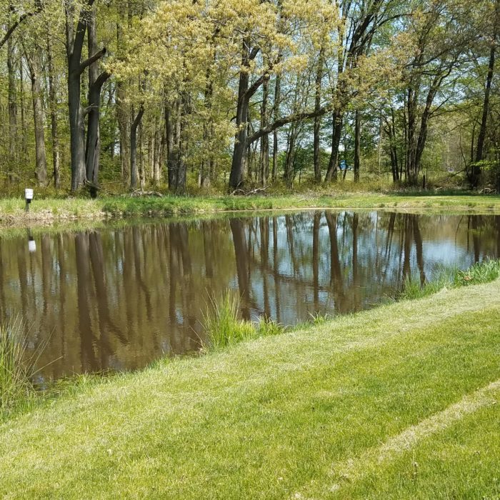 How Jenny Minimizes the Environmental Impact of Her Chicken Farm