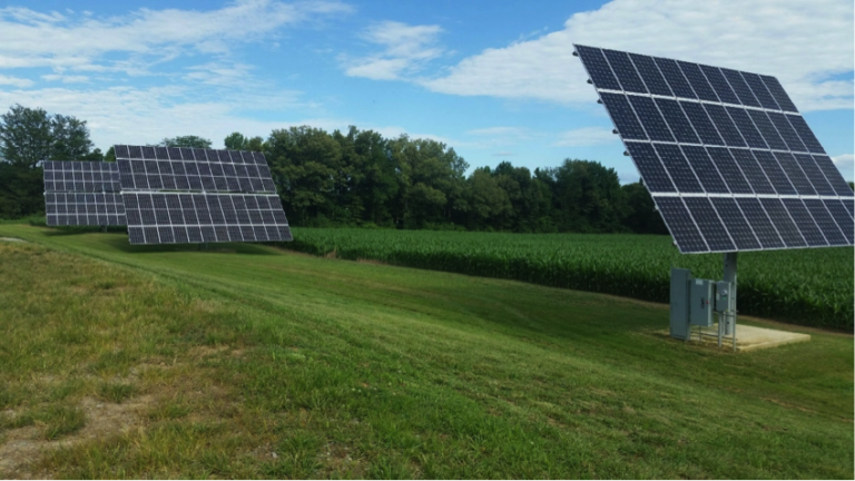 How Deena and Tim Run a Sustainable Chicken Farm