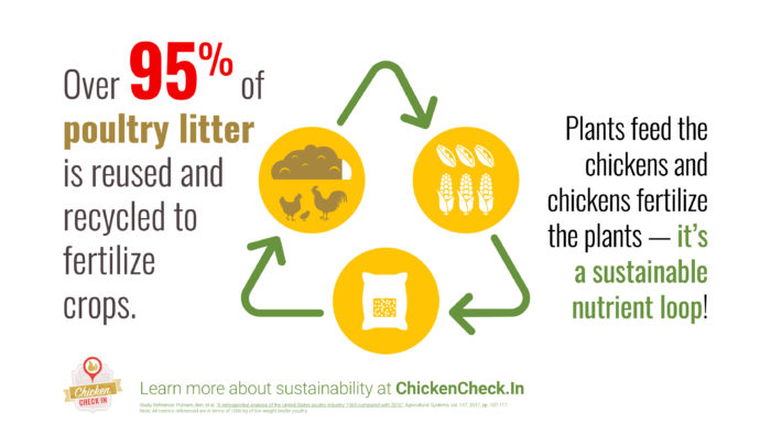 How Chicken Production Has Become More Sustainable