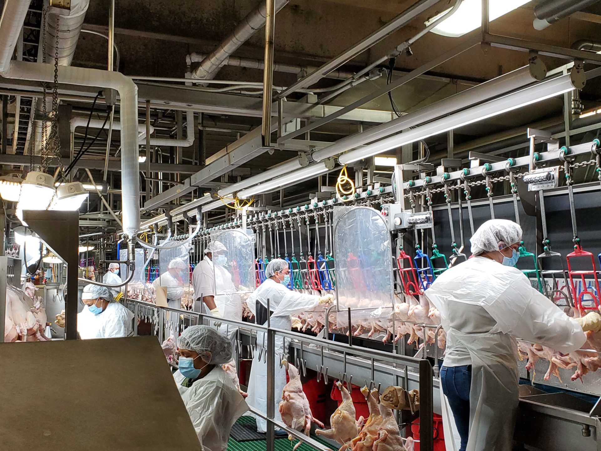 Keeping Chicken Company Employees Safe & Healthy During COVID-19