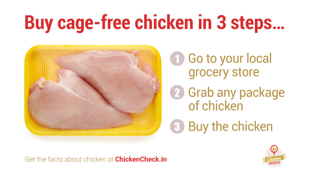 Chicken-CheckIn_Mythbusters_April-2019_v6_Myth04_Cage-Free - Chicken ...