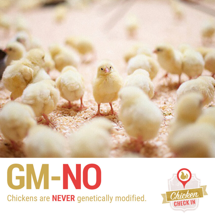 Get The Facts: The Truth About Hormones and Steroids in Chicken