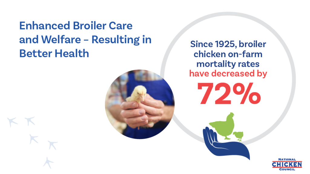 Broiler Chicken Health - Chicken Check In