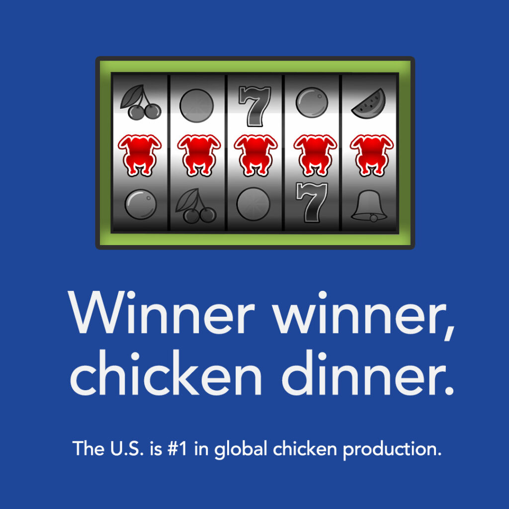 Chicken by the Numbers